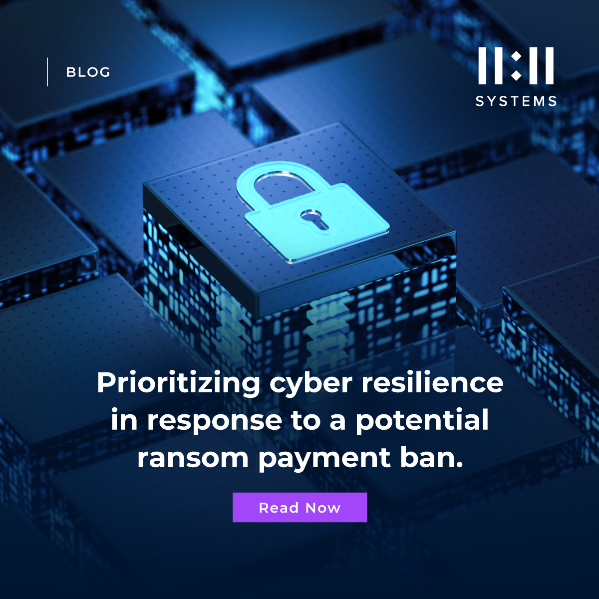 Cyber Resilience Amid Proposed Ransom Payment Ban
